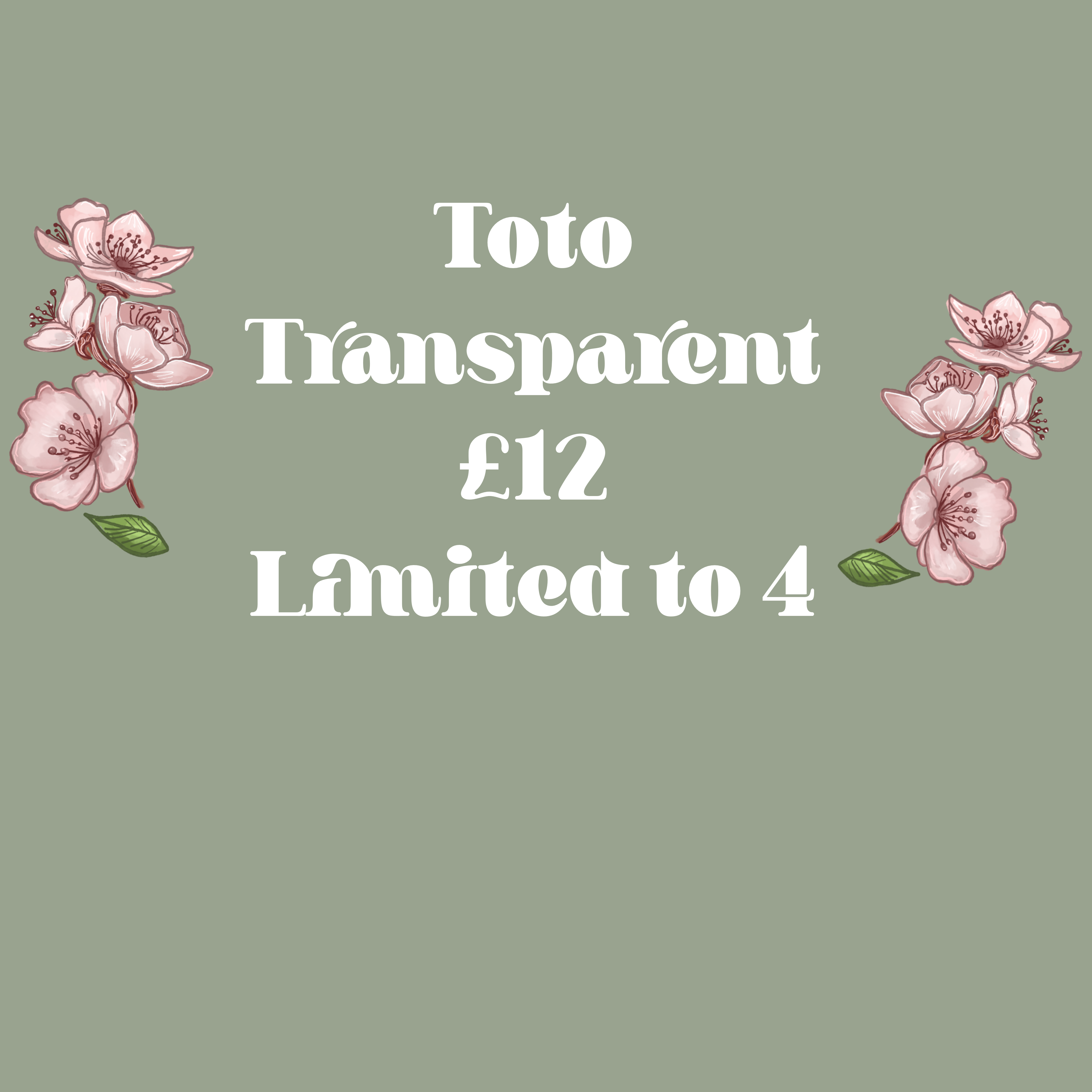 Toto Transparent – Inspired.Designs.illustrations